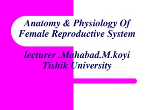 Lec.1,,TIUanatomy of female reproductive system | TIU